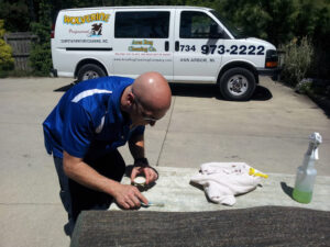 Why Choose Wolverine | Wolverine Professional Carpet & Furniture Cleaning