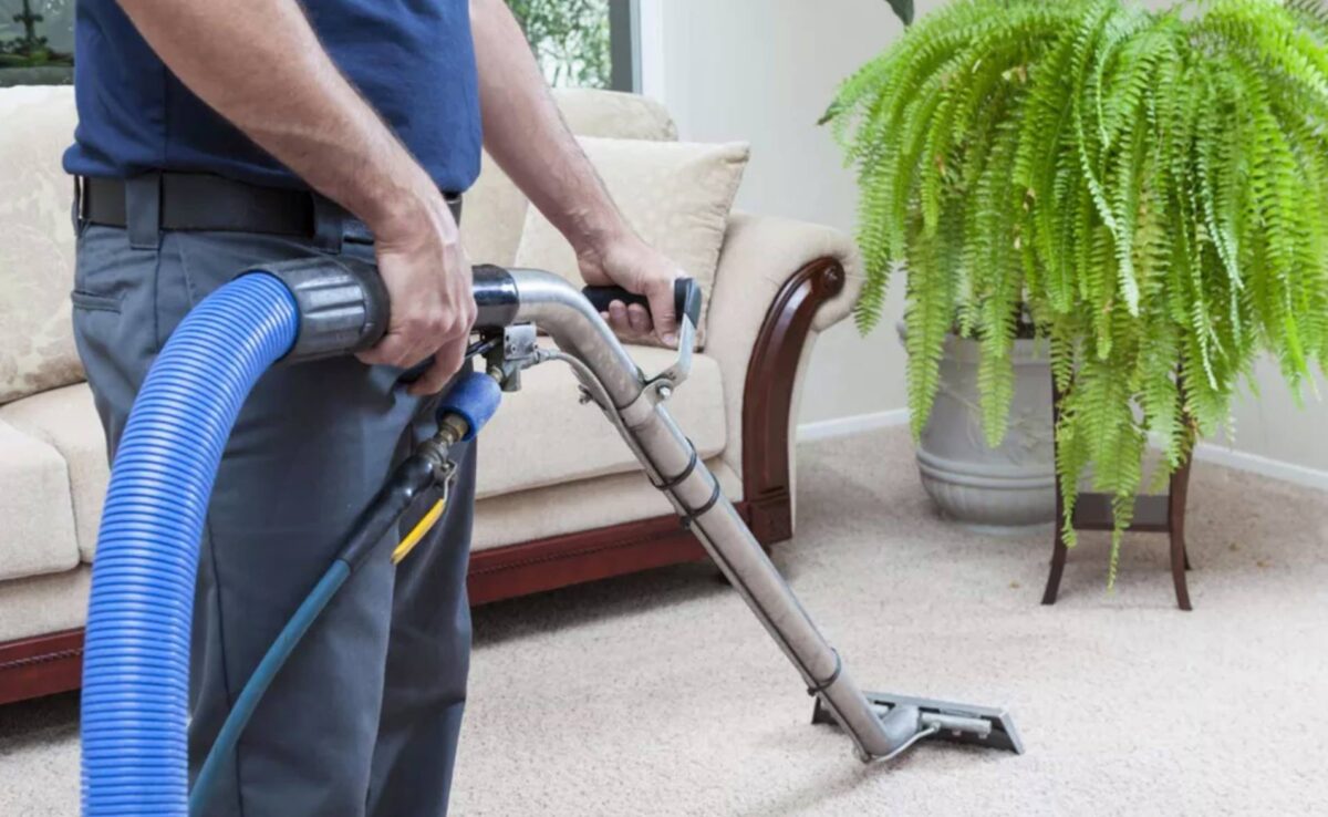 During This Flu Season Get Your Carpets Professionally Cleaned ...